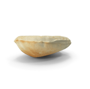 Salatim - GOZA